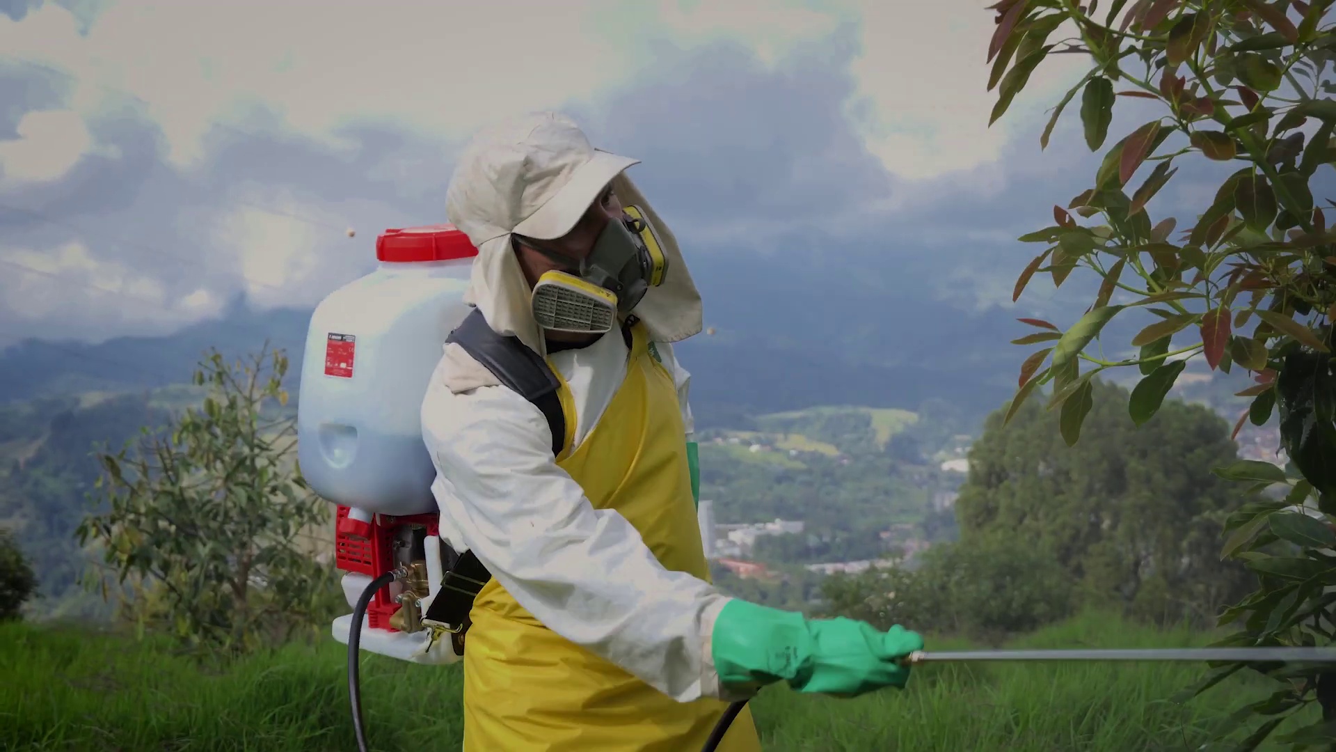 Máquina de fumigar: clave para una agricultura productiva